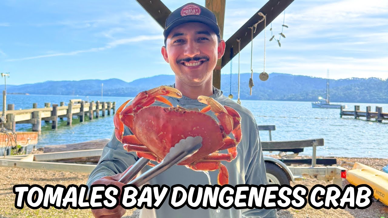 Tomales Bay Dungeness Crab November 2025 - YouTube