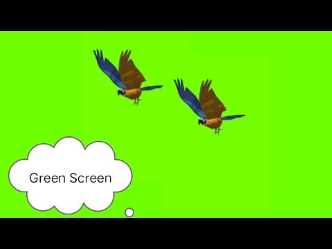 Green Screen, green screen video, green screen words, green screen ...