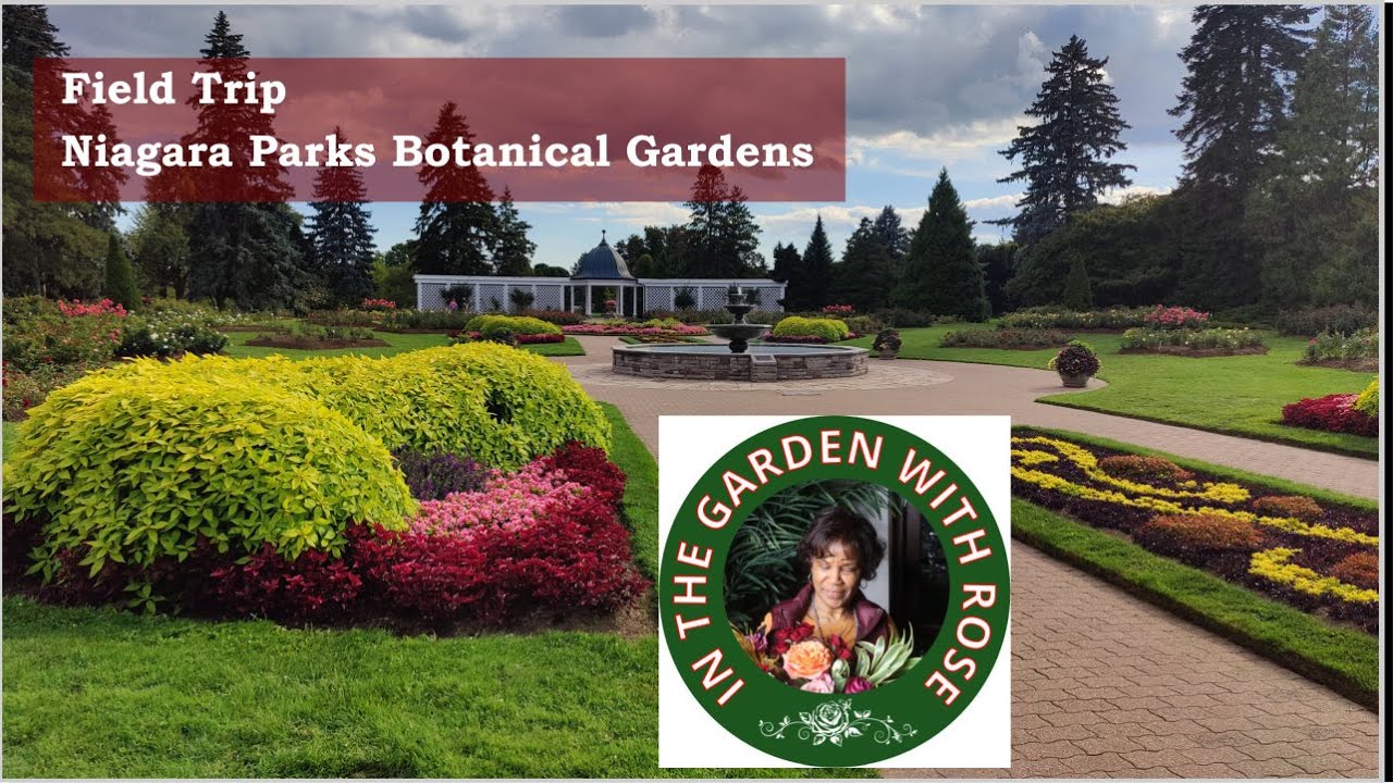Field Trip Canada Botanical Gardens - Roses! - YouTube