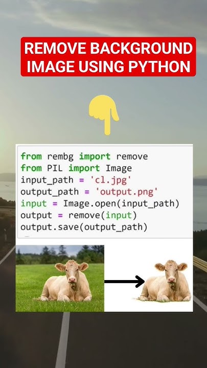 Remove image backgrounds using python #removebackground #python #pythontutorial - YouTube