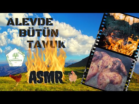 DOĞA'DA ALEVDE BÜTÜN TAVUK ASMR!!! | WHOLE CHICKEN IN FLAME IN NATURE ASMR !!! #asmr #doğa