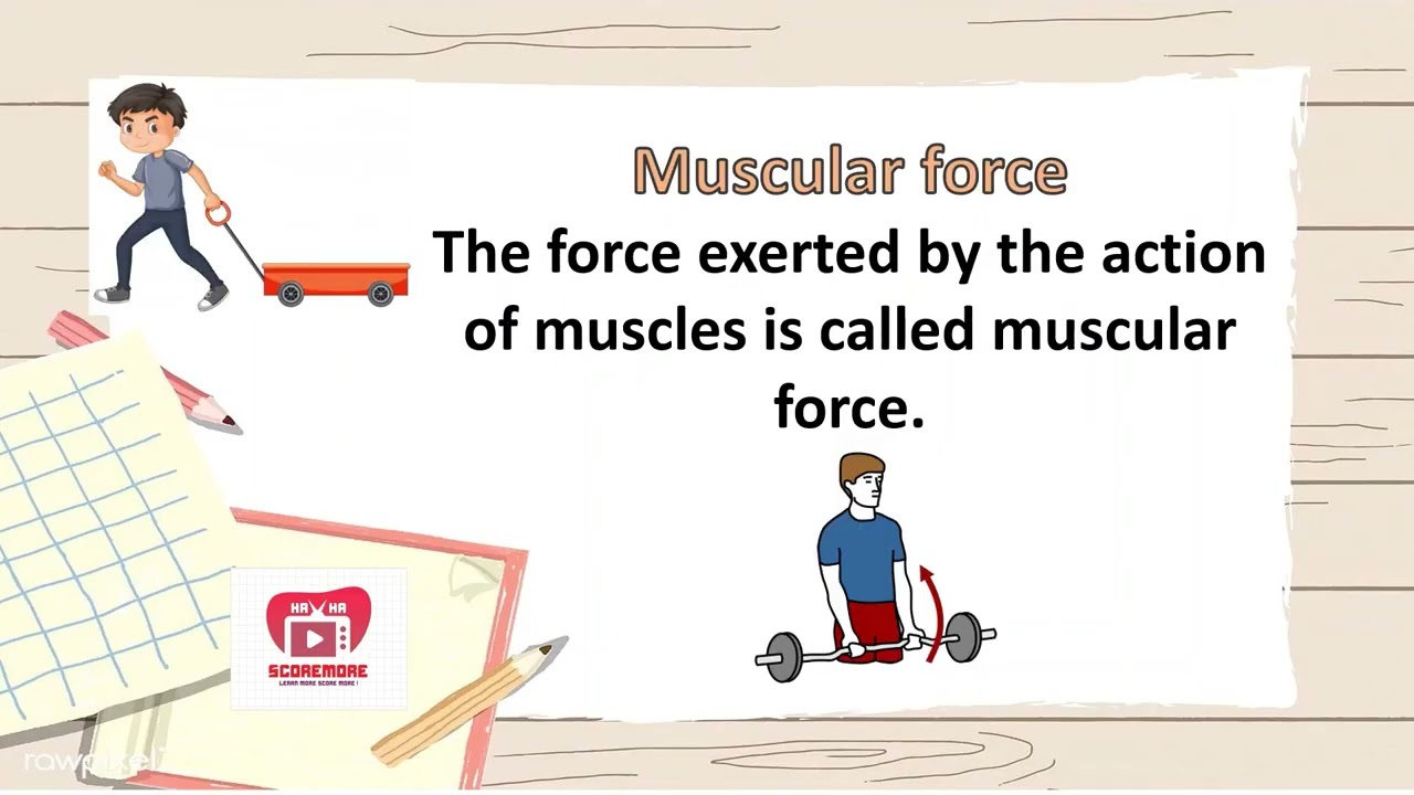 Types of forces - Animated Science lesson #forcetypes #science # ...