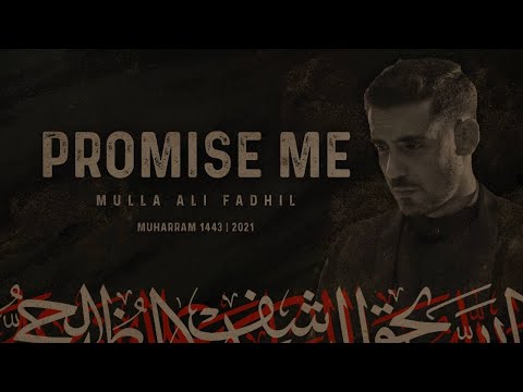 Promise Me - Ali Fadhil