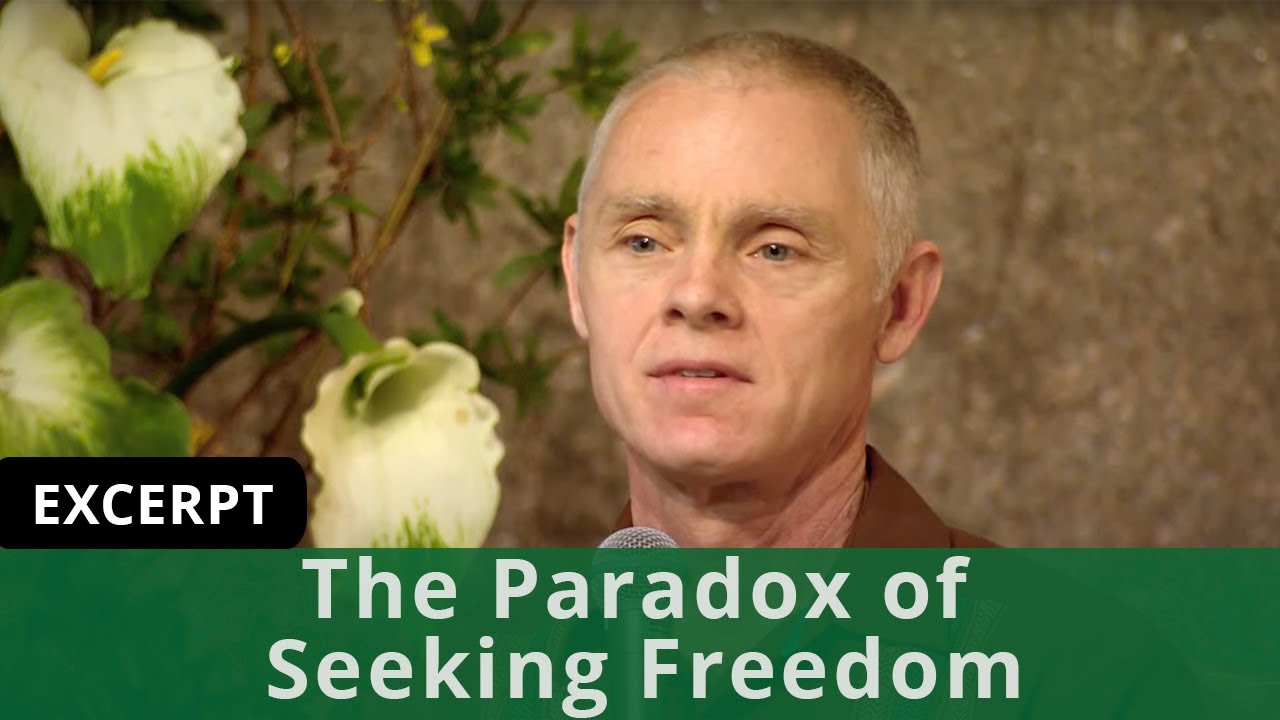 The Paradox of Seeking Freedom (Excerpt) - YouTube