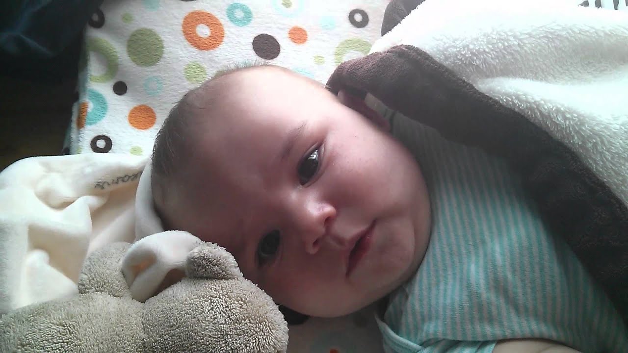 Willem finds zerbert noises troubling. - YouTube