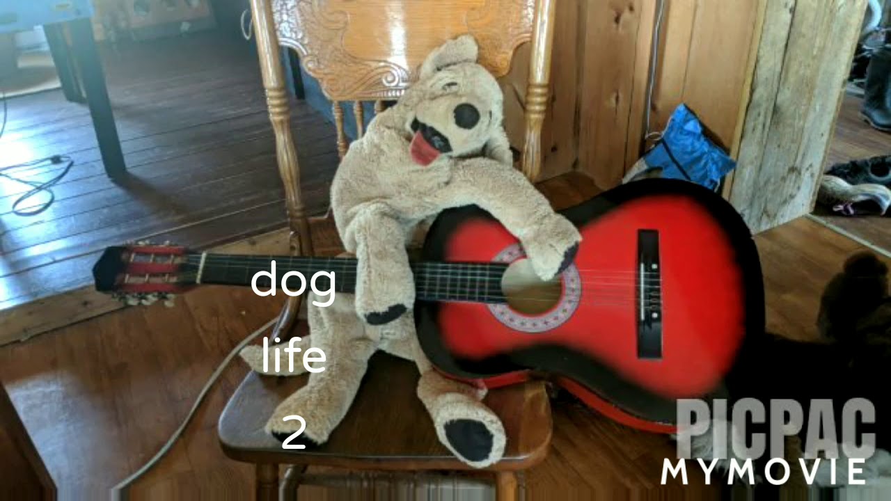 Dog life 2 - YouTube
