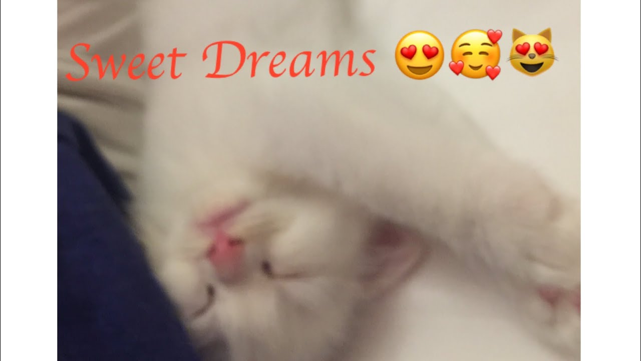 SLEEPING NEXT TO YOU/ME🥰 - YouTube