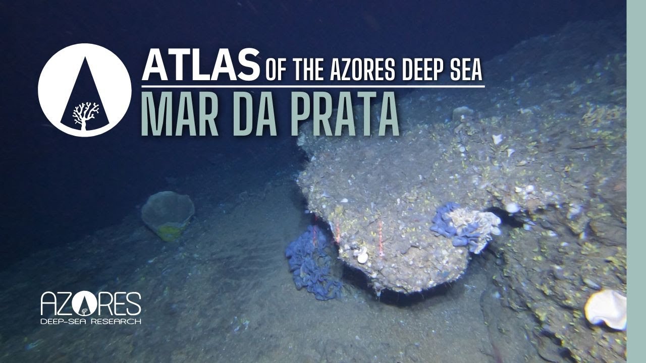 Mar da Prata seamount | ATLAS of the Azores deep sea - YouTube