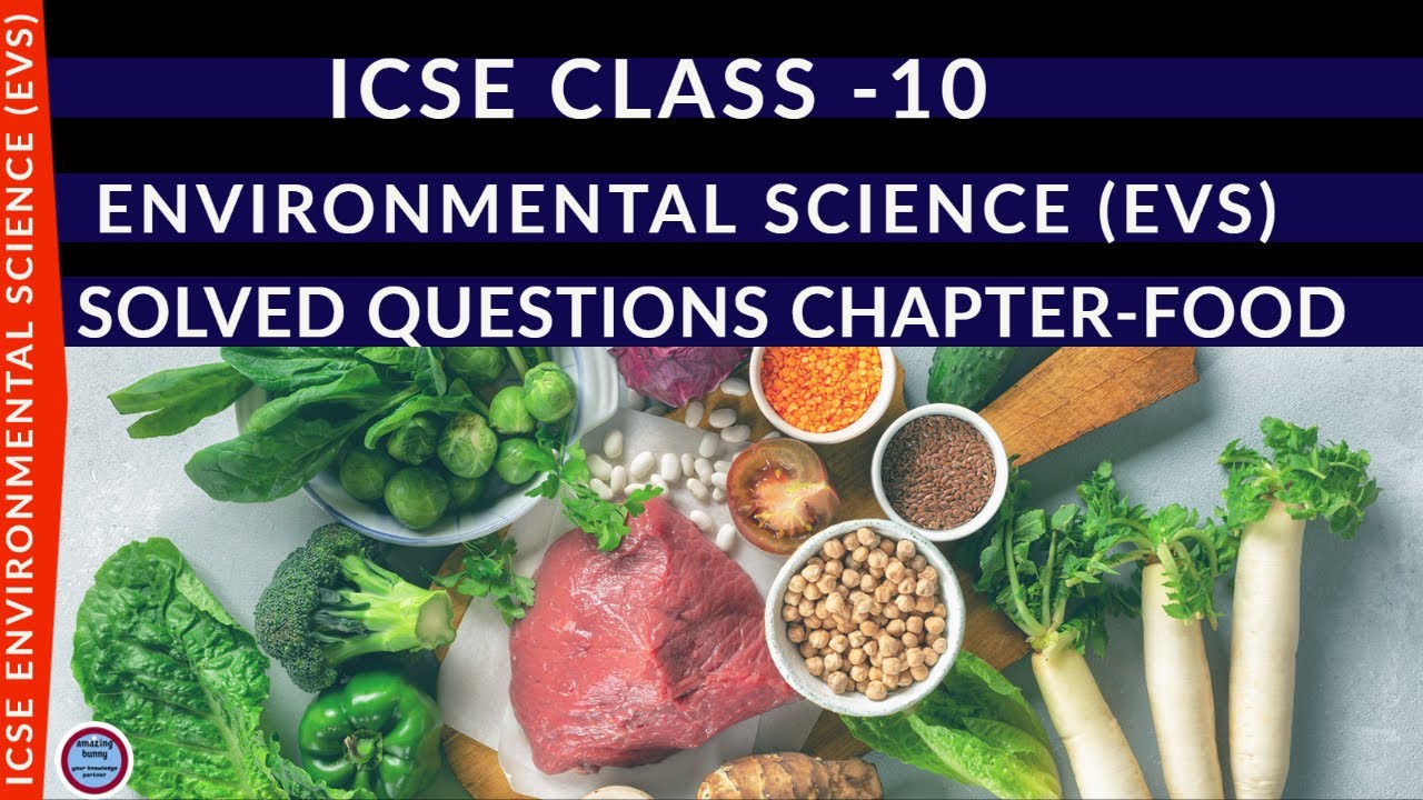 Unlock the Secret of Solved Questions in ICSE Class 10 Environmental ...