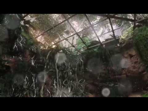 Call of Duty® Ghosts Ending Credits - YouTube