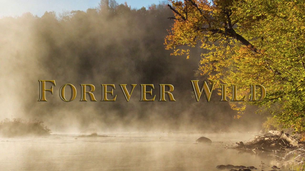 Forever Wild / The Adirondacks: Where Wilderness Preservation Began ...