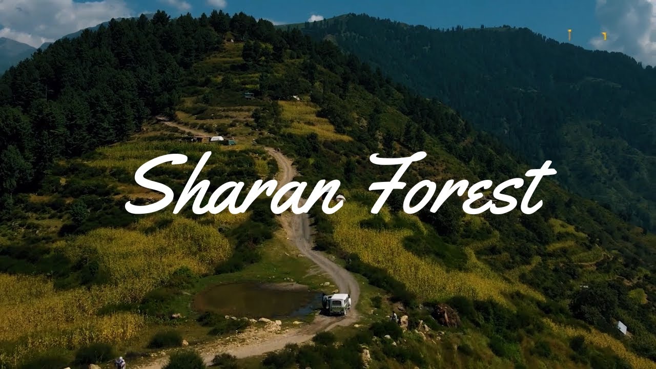Planning Your Trip To Sharan Forest? Know All The Details - YouTube