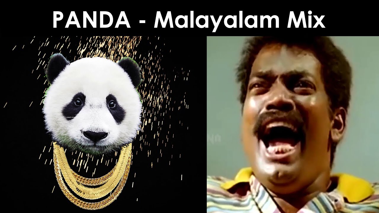 Panda panda panda..!! 😂😍 | Malayalam Troll | Bimaleditz - YouTube