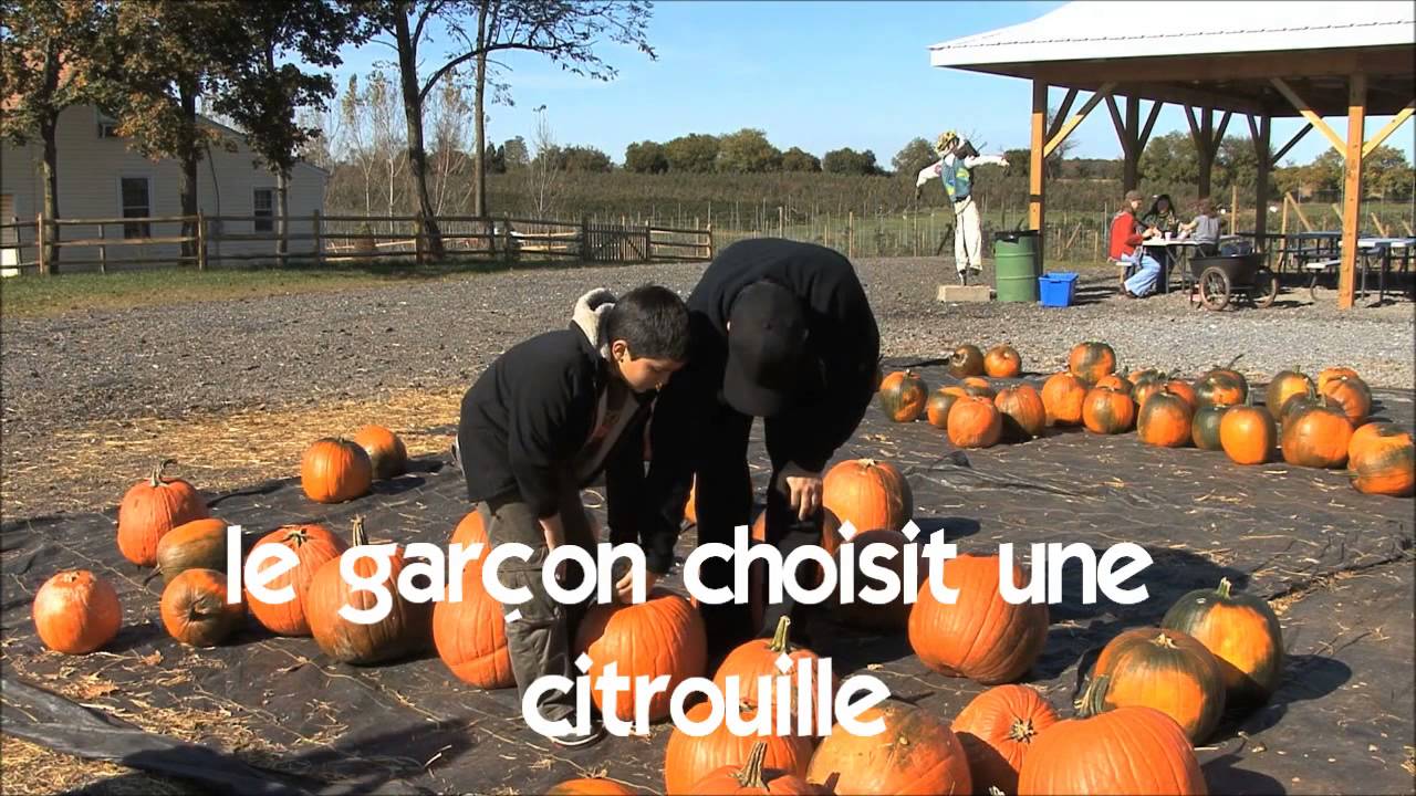 Online francia kurzus # Vocabulaire # le garçon choisit une citrouille ...