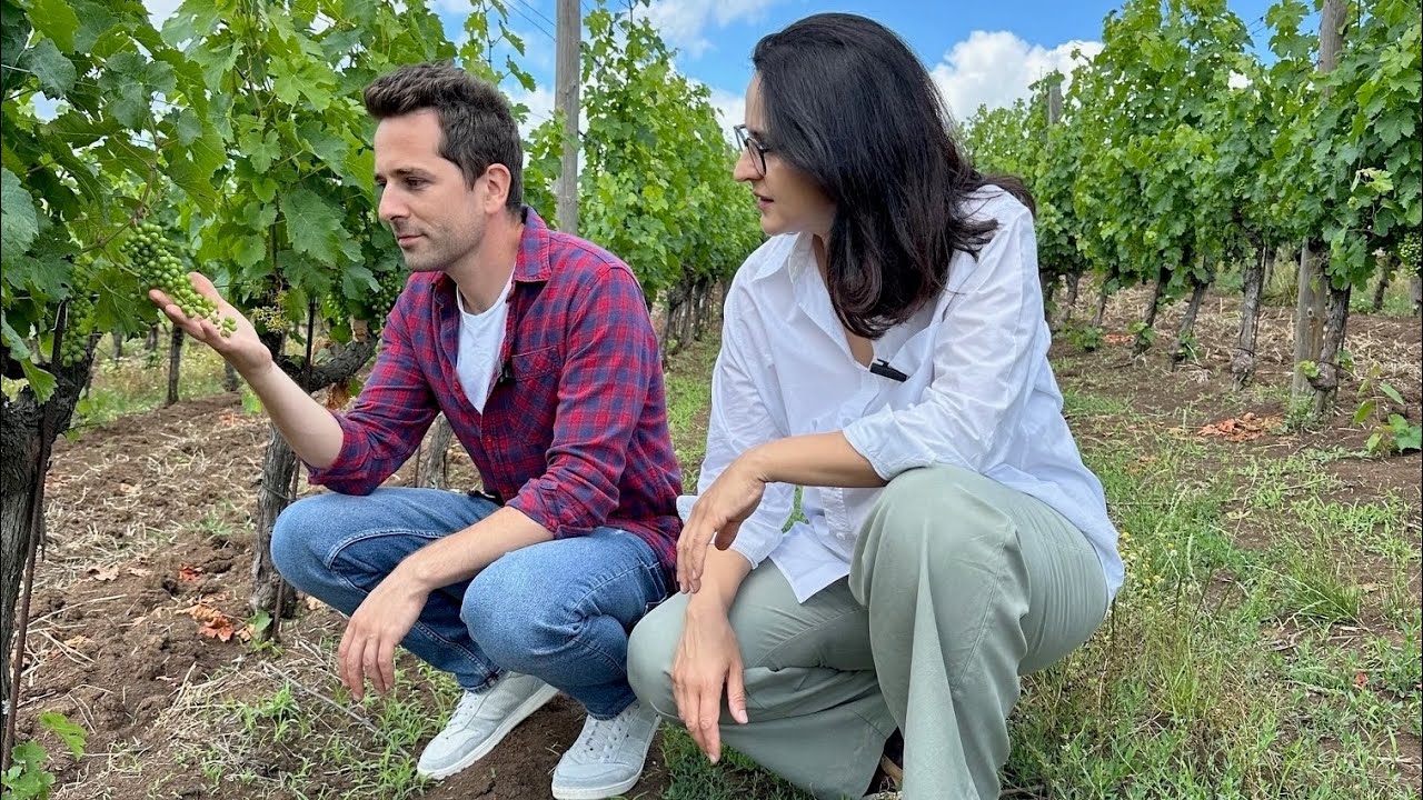 Discover Organic Viticulture with Marco Feltrin, oenologist at Petro Vaselo Winery - YouTube