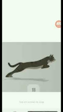 cat running cycle!!#cats#animations - YouTube