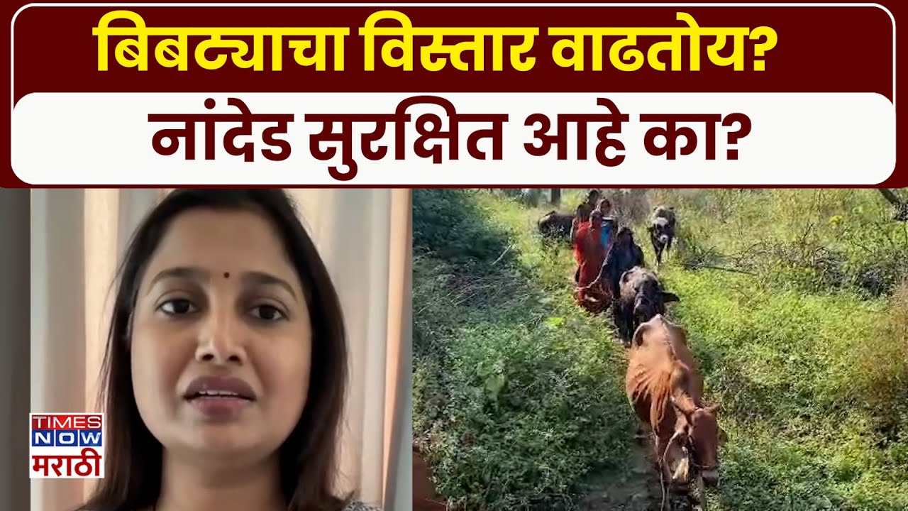 Nanded Bibtya News: नांदेडमध्ये बिबट्याची दहशत वाढली! ग्रामस्थांमध्ये ...