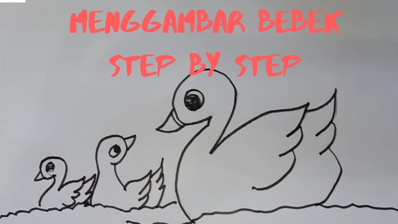 Cara menggambar bebek Step by step - YouTube