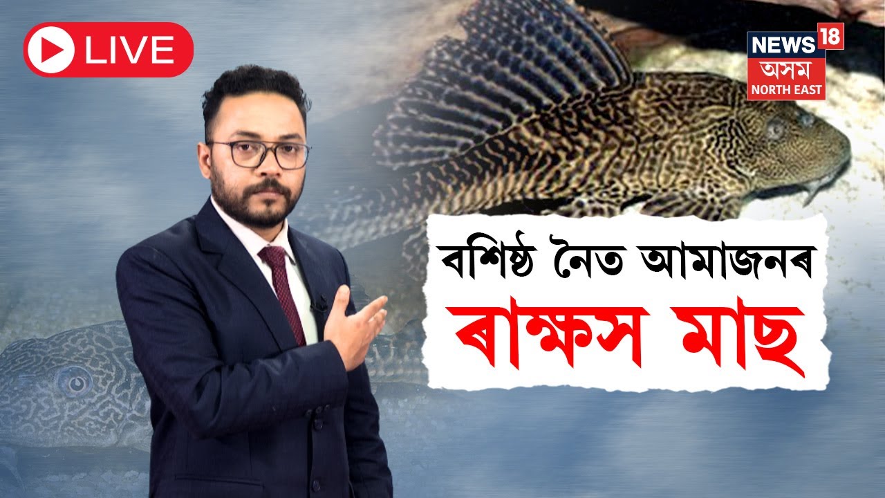 LIVE | Crocodile Cat Fish In Basistha River | বশিষ্ঠ নদীলৈ ক’ৰ পৰা আহিল ...