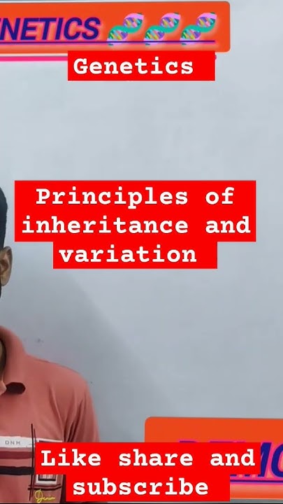 Genetics 🧬🧬🧬 class 12th biology #genetics #class12 Principles Of Inheritance and Variation - YouTube