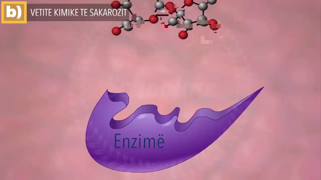 Disakaridet - YouTube