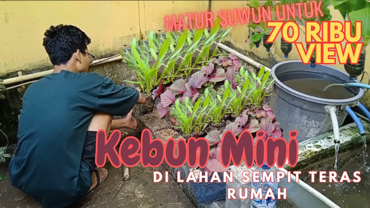 Membuat Kebun Mini di lahan sempit depan rumah & Meracik Media Tanam ...