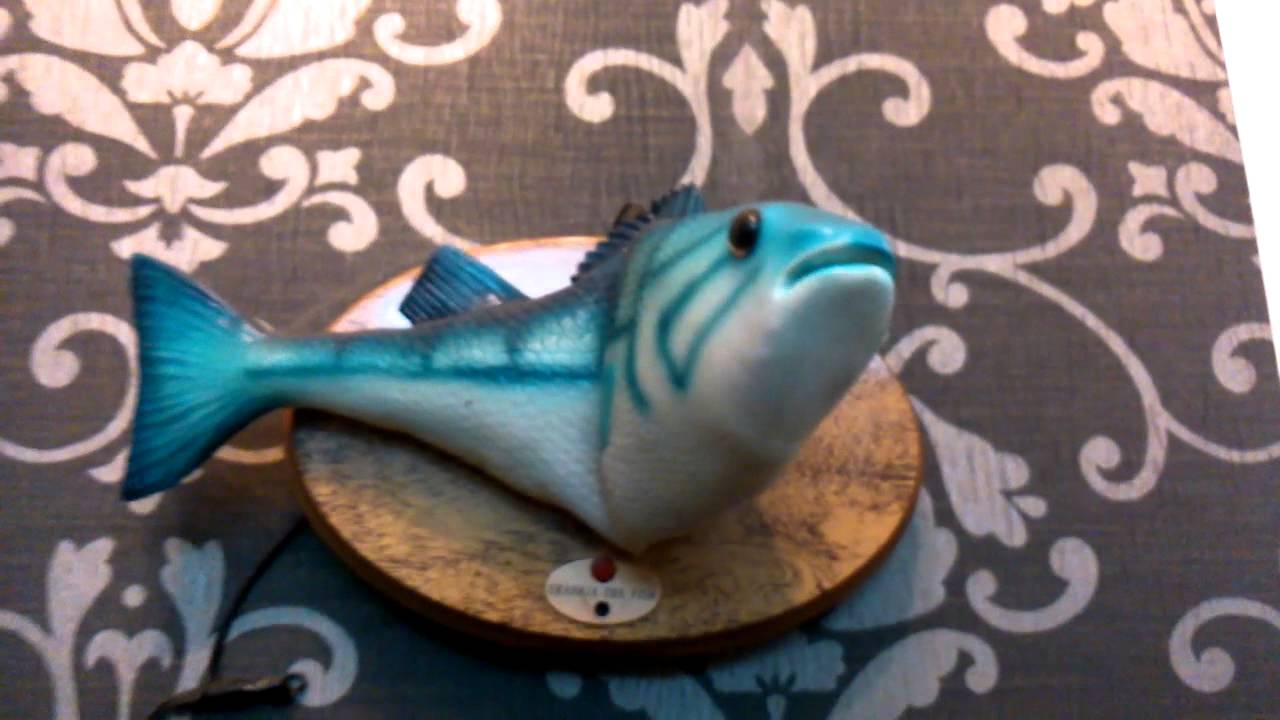 Frankie the fish - YouTube