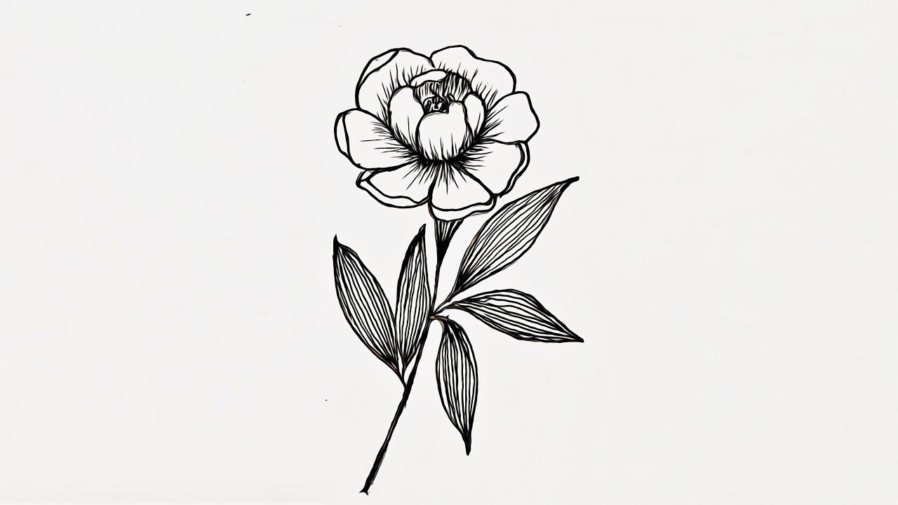 How to draw a Flower Step by Step | Flower Drawing Lesson's - YouTube