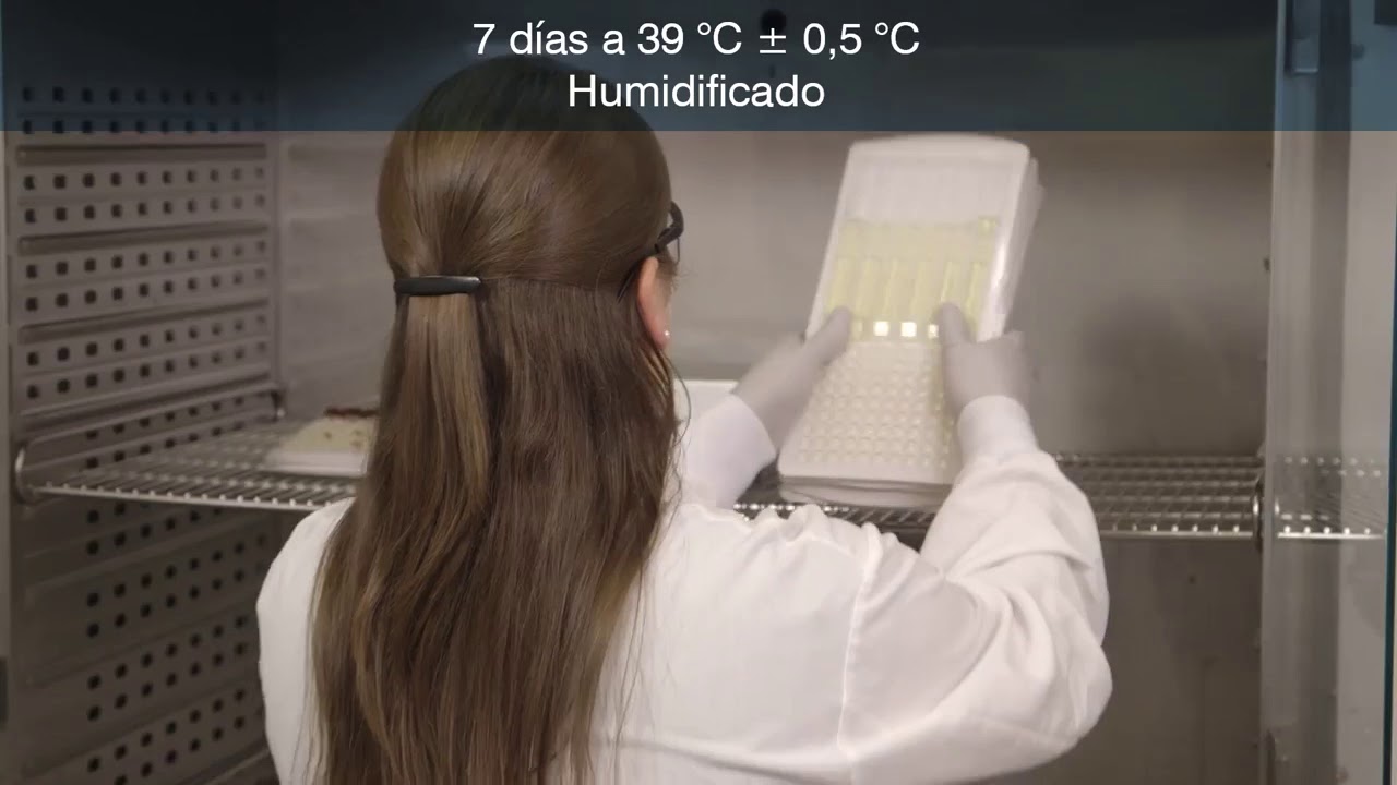 Legiolert - Idexx (Agua potable) - YouTube
