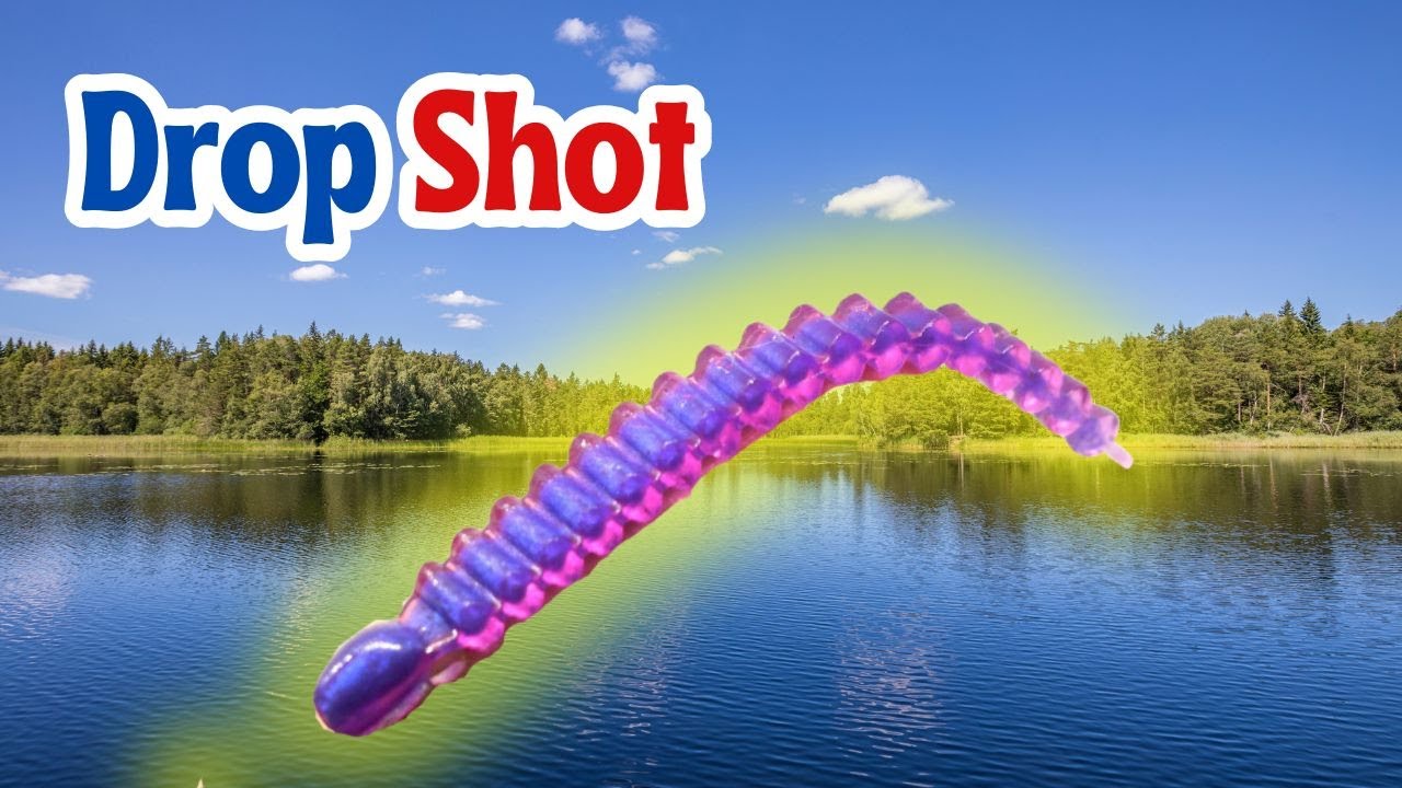 Keitech Custom Leech. How to Fish a Drop Shot Rig. - YouTube