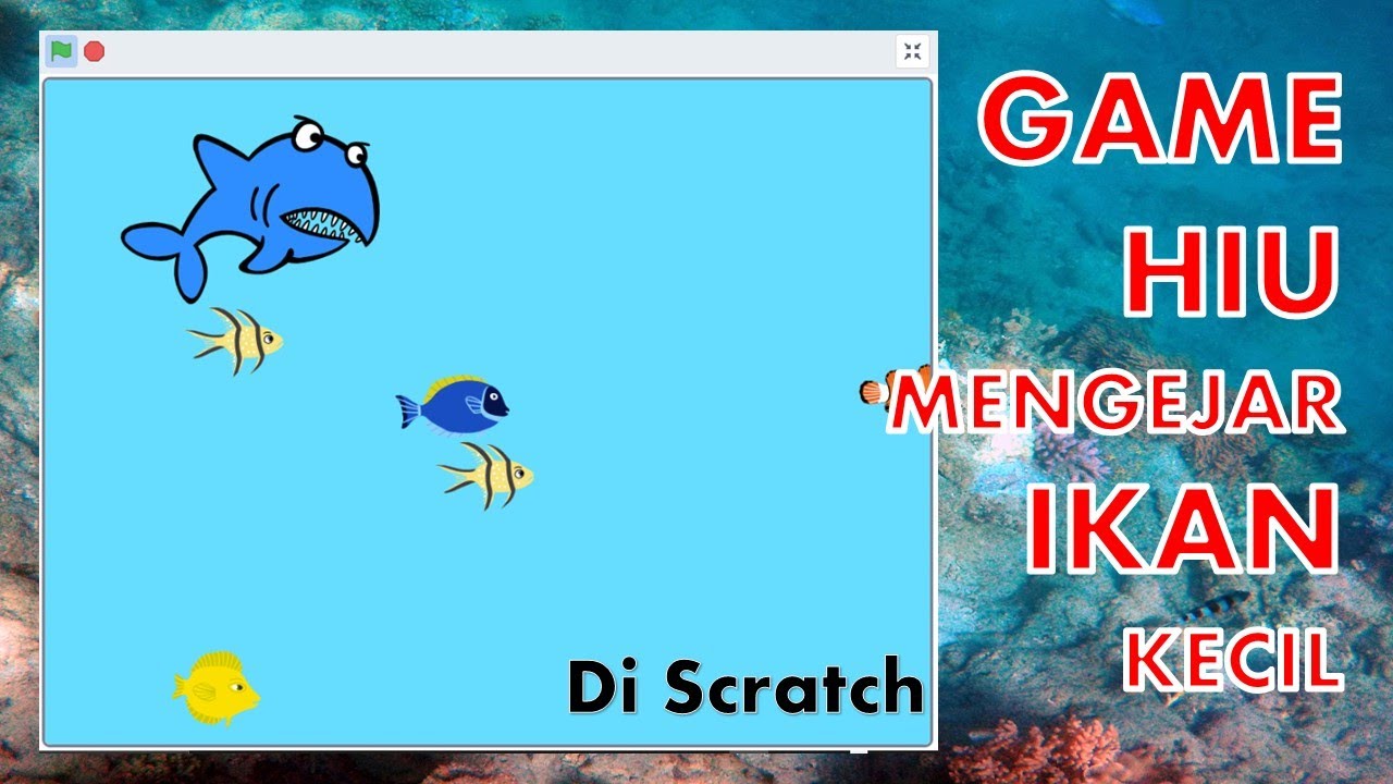 Game Hiu dan Ikan Kecil di Scratch - YouTube