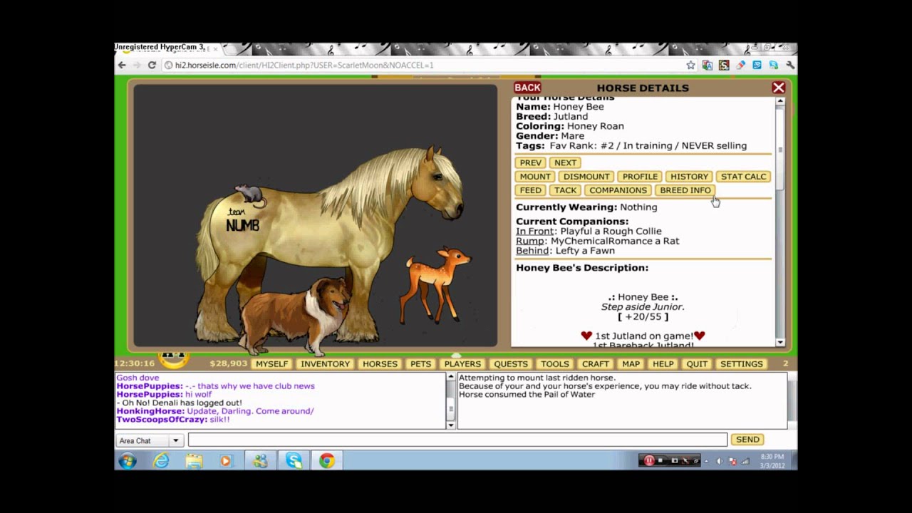 Horse Isle 2 - My Current Horses - YouTube