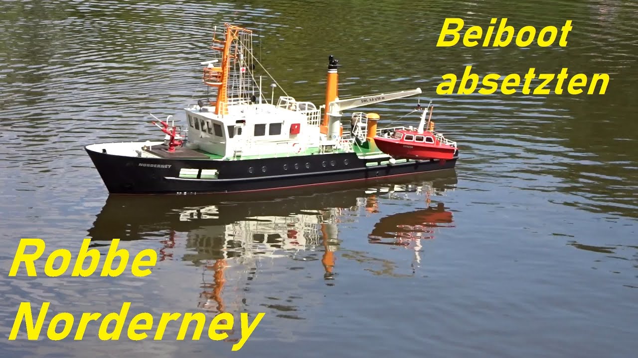 Robbe Norderney mit Peiboot Möwe (Sandra) - YouTube