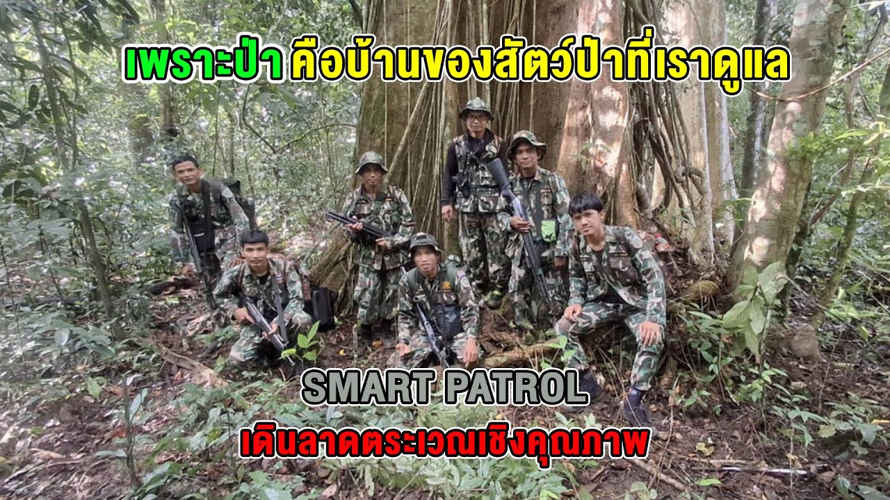 ใครล่ะจะคิดว่าการเดินลาดตระเวณSMART PATROLจะทำให้ที่นี่สวยงาม เขตรักษา ...