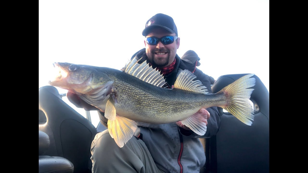 They Won't STOP Biting! (Minnesota Walleye Opener 2019) - YouTube