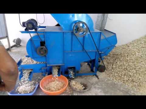 Garlic bulb breaking machine - YouTube