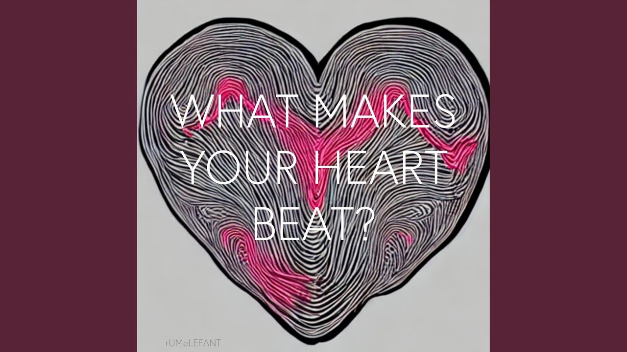 What Makes Your Heart Beat? - YouTube