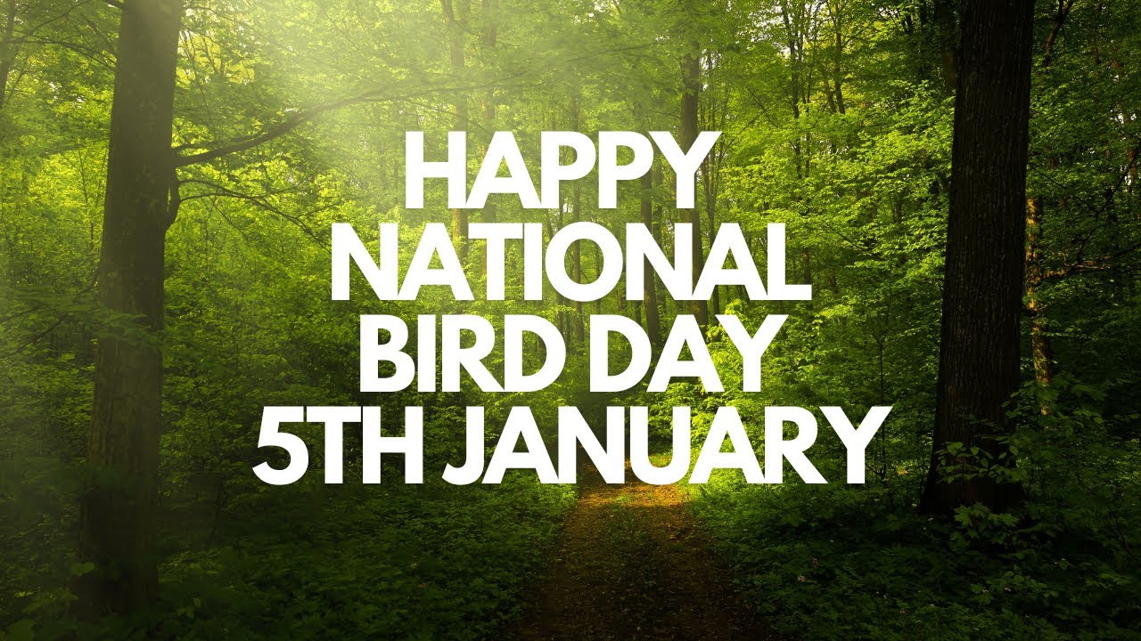 National bird day | 5th January - YouTube