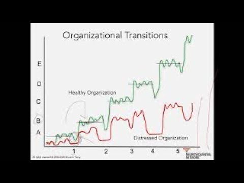 9. Managing Transitions: Neurosequential Network Stress & Trauma Series ...
