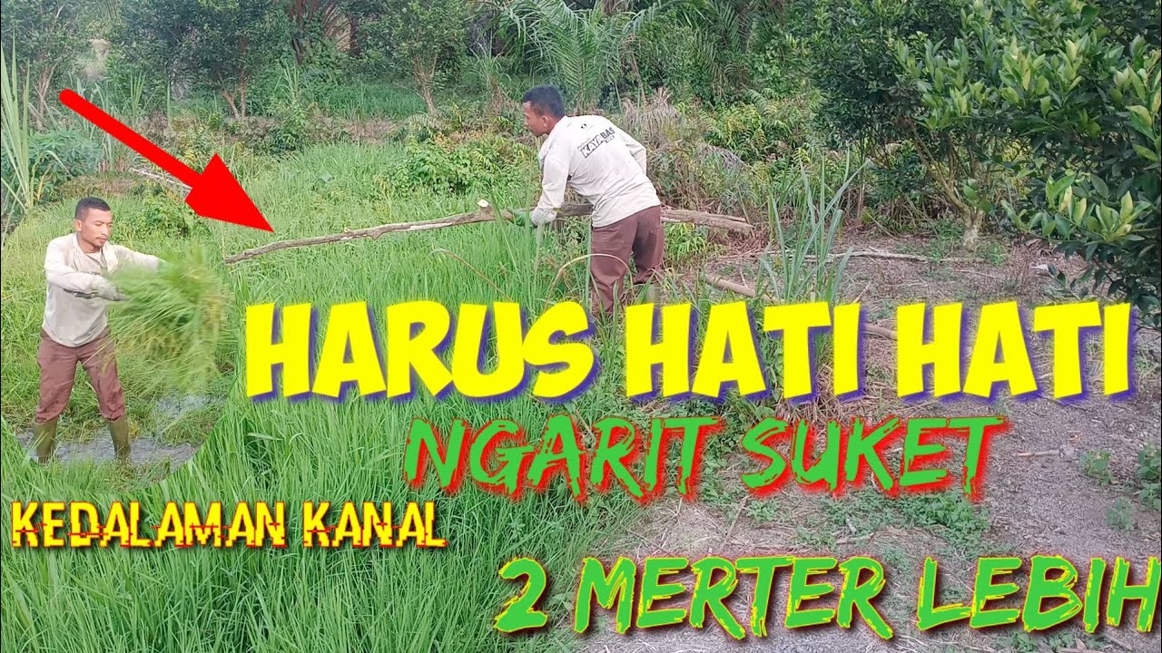 NGARIT SUKET HARUS HATI HATI, KEDALAMAN KANAL SAMPAI 2 METER LEBIH # ...