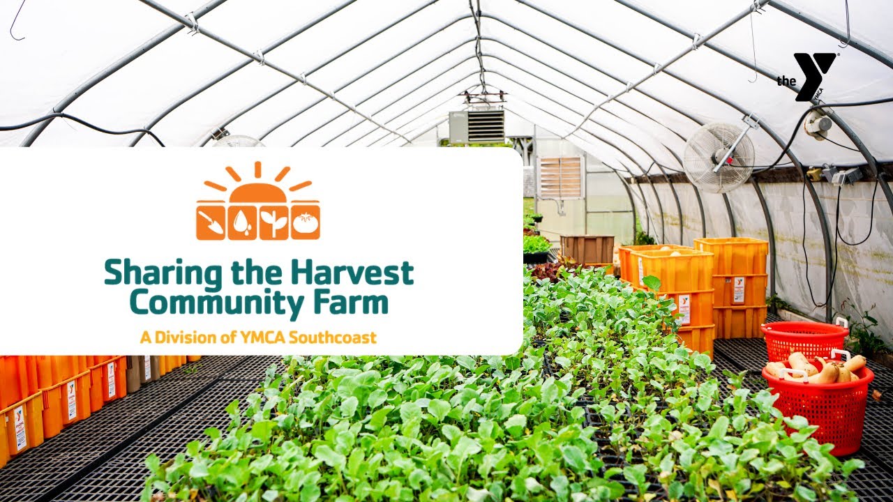Sharing The Harvest Community Farm - YouTube