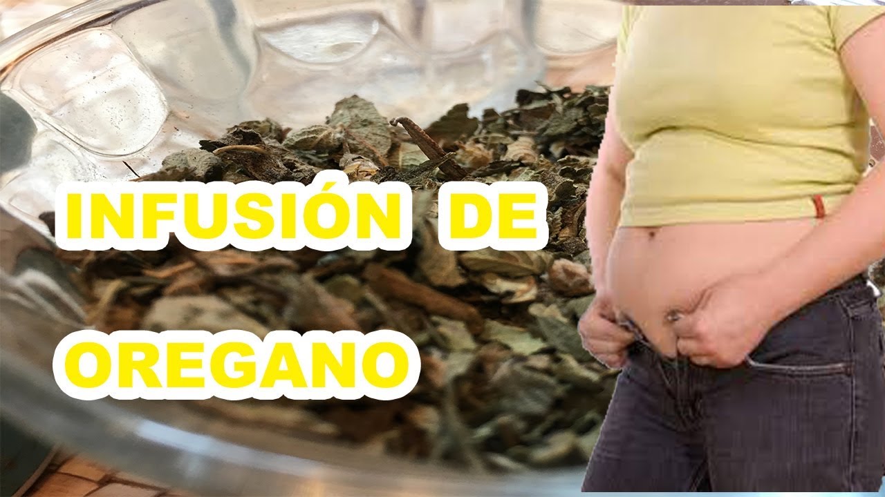 INFUSIÓN DE OREGANO ¿CÓMO HACERLA? - YouTube