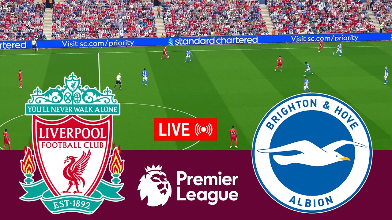 [LIVE] Liverpool vs Brighton Hove Albion Premier League 24/25 Full ...