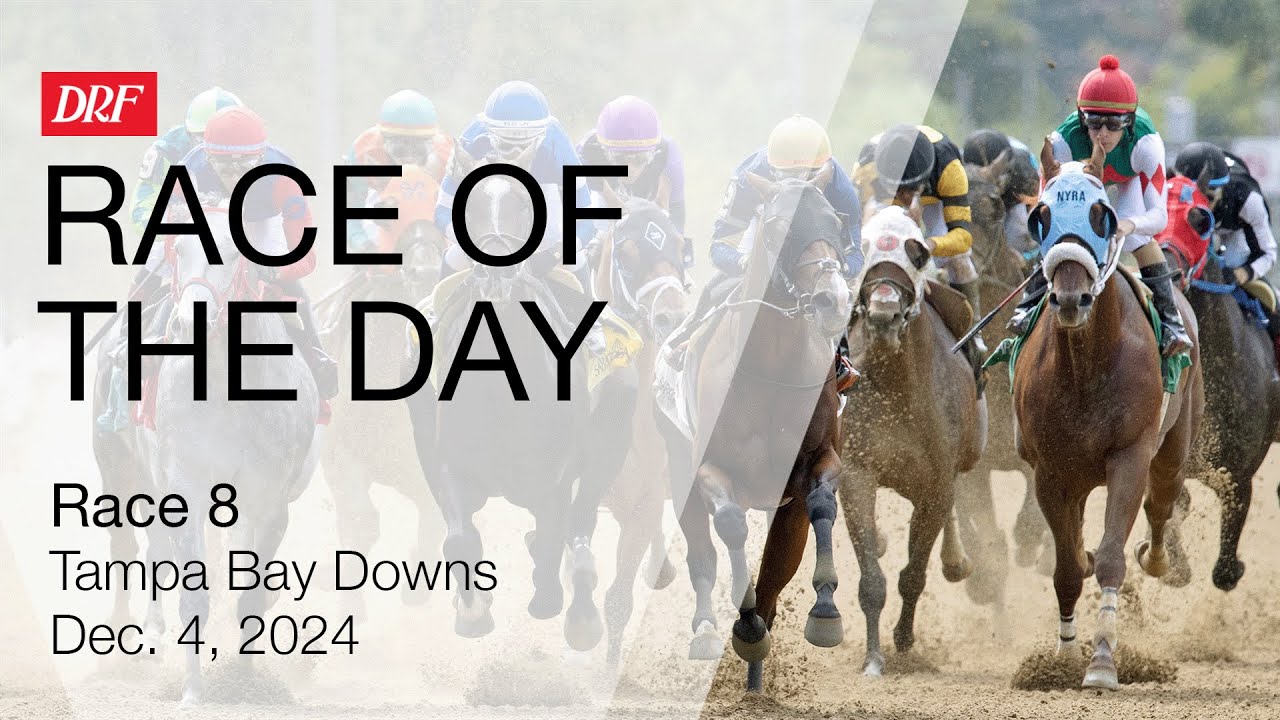 DRF Wednesday Race of the Day | Tampa Bay Race 8 | December 4, 2024 ...