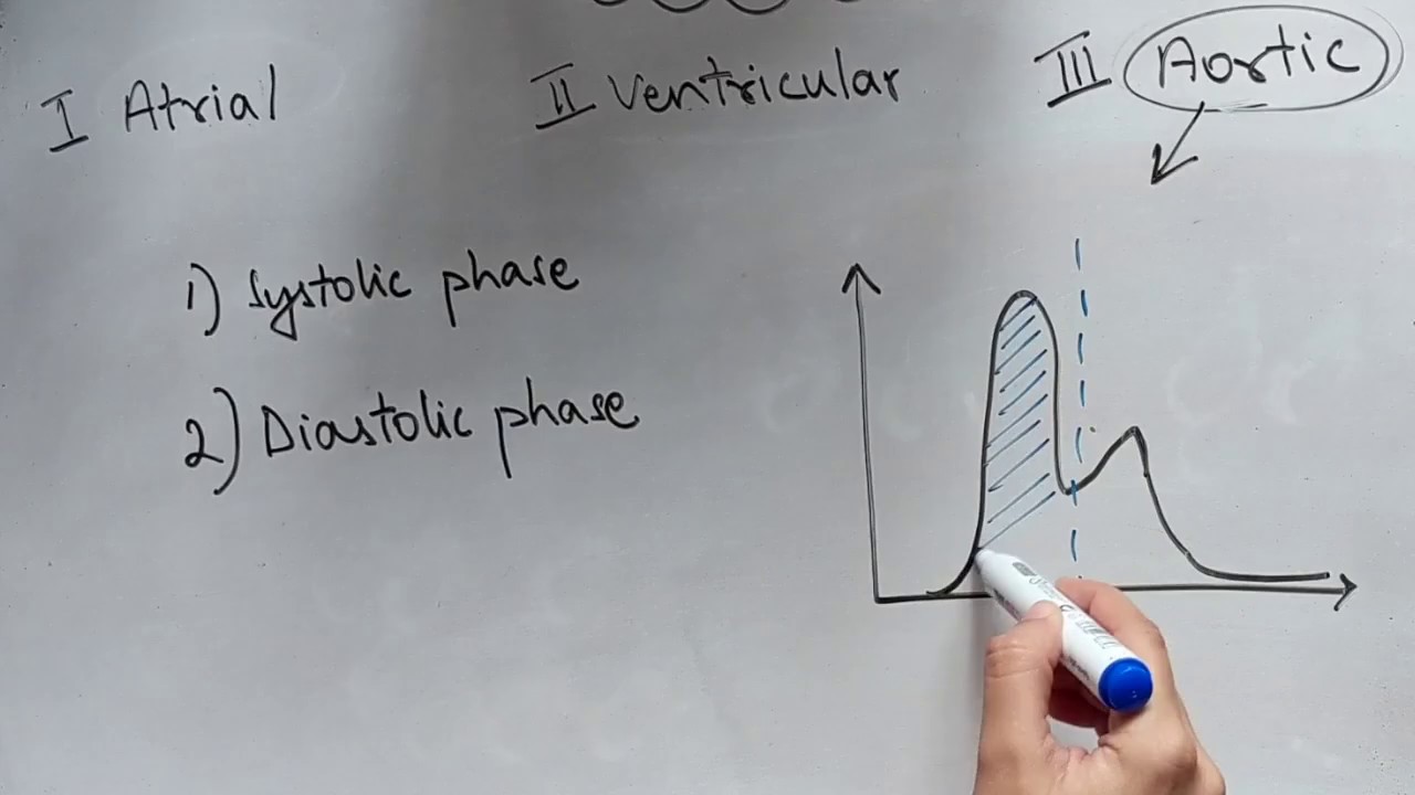 Atrial, Ventricular and Aortic Pressure Curves - YouTube