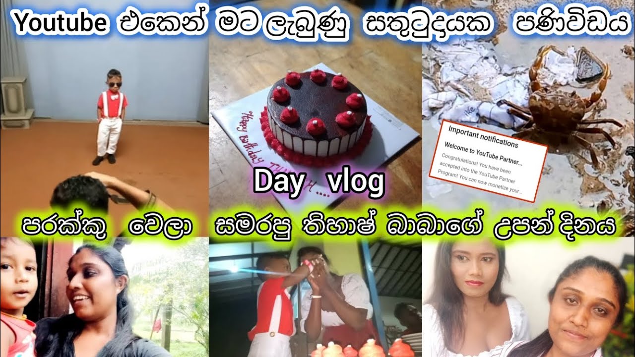 හීන පාට උනු ලස්සන දවසක් 🌷| Birthday celebrate 🎂| sinhala day vlog ...