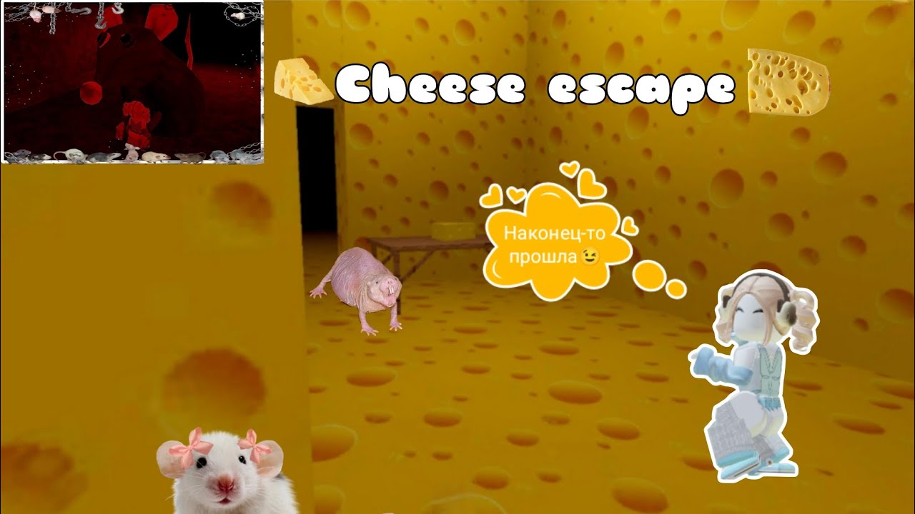 Прошла cheese escape 💗🧀 // Мы с крысой теперь лп😘😘😘 //roblox cheese ...