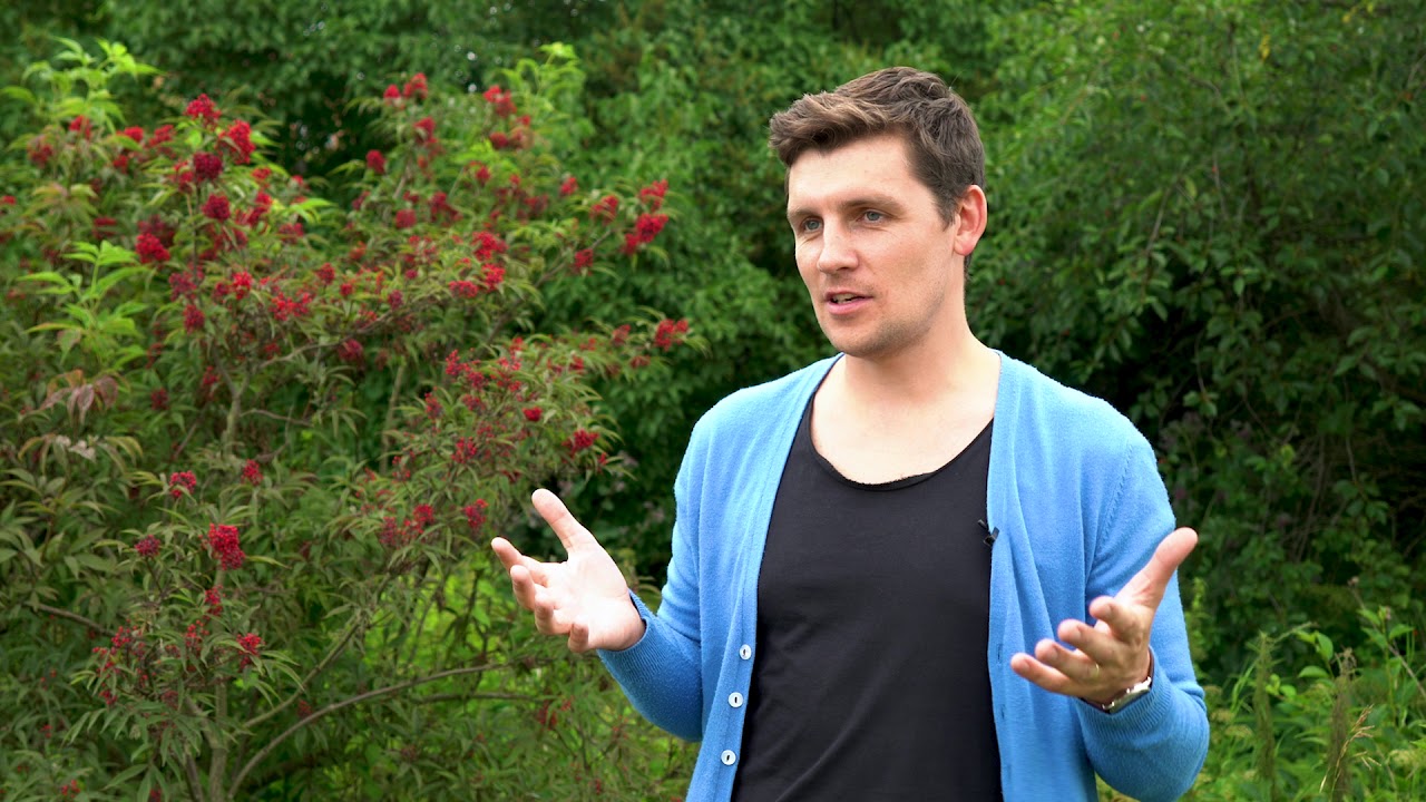 Monton presents: Talented people among us. Part 5 – Martin Veisman for ...