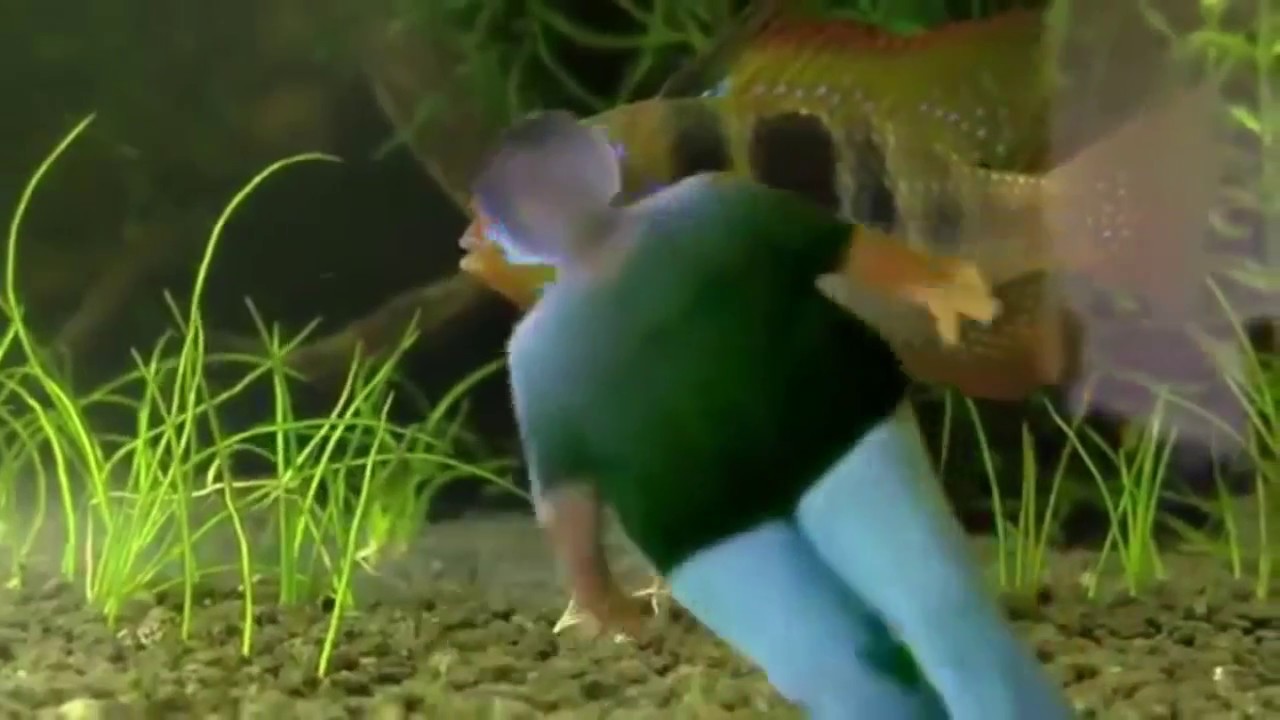 Table breaks through Meme | Meme™ | FreeMemes - YouTube