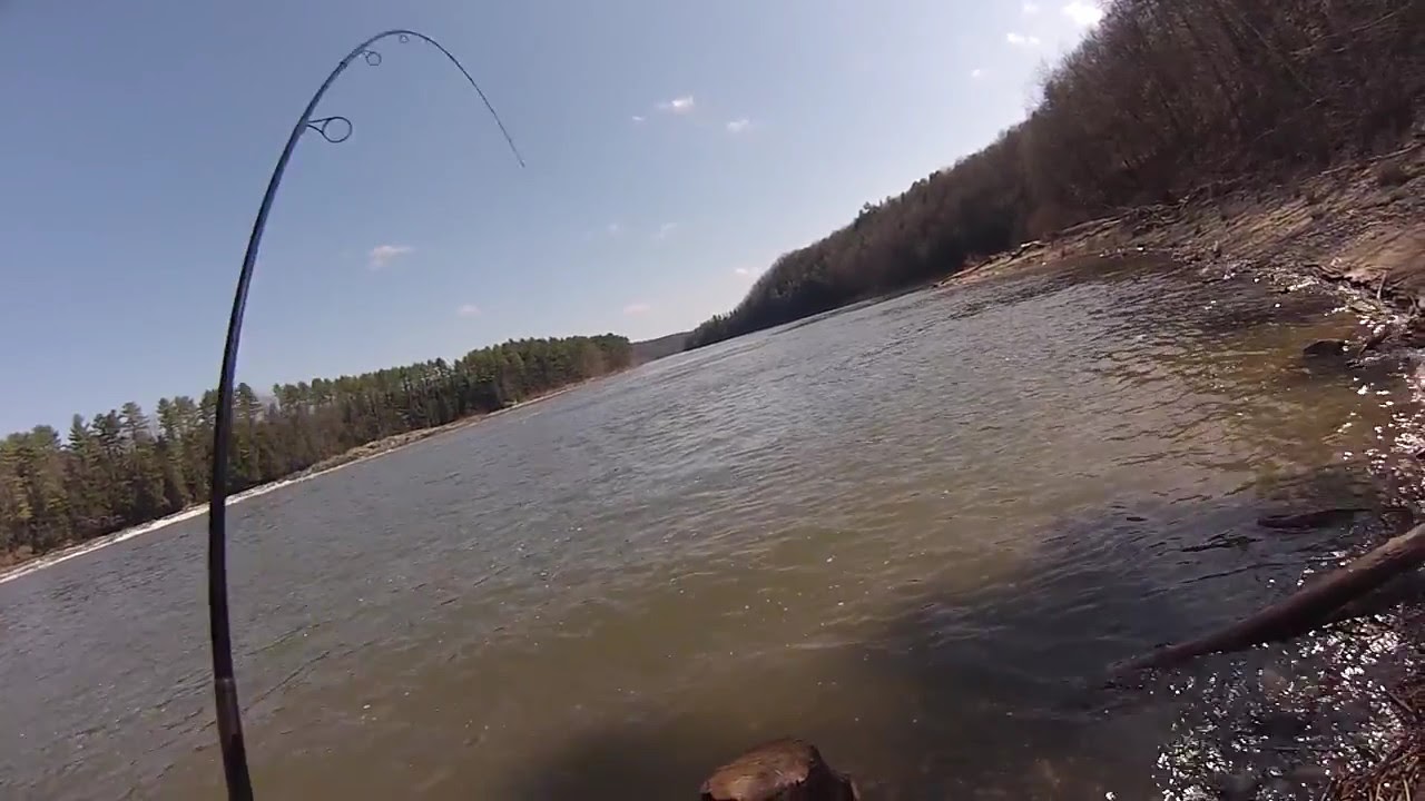 Connecticut River fishing -Northern Pike Fishing Extravaganza - YouTube